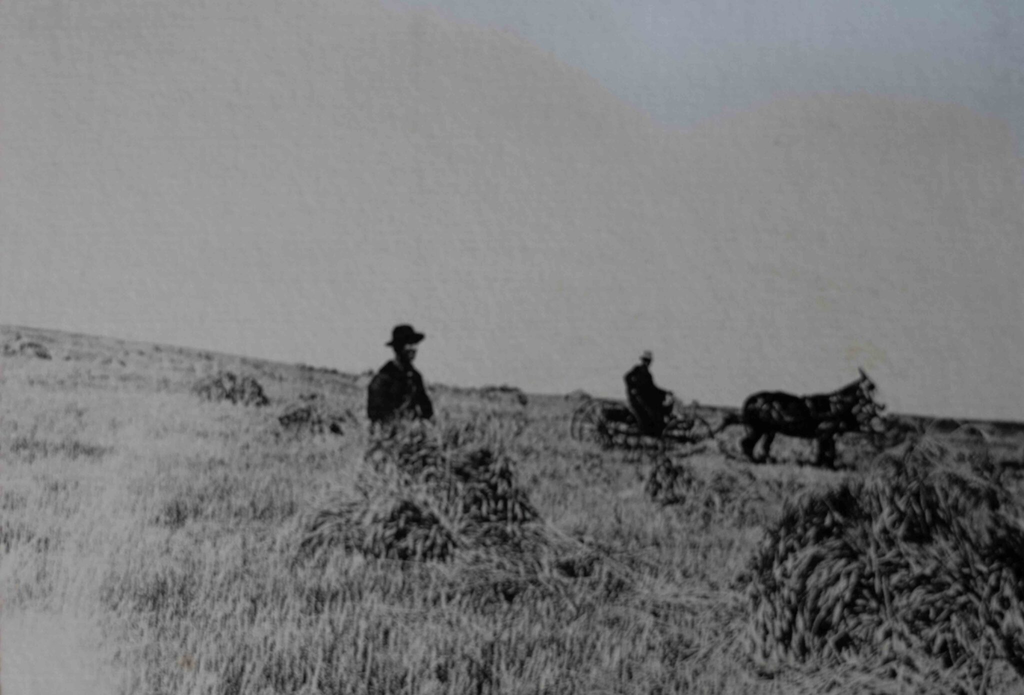 Chapter 9 – Mcintyre Ranch