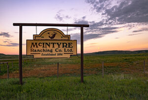 Mcintyre Ranch – Mcintyre Ranch, over 130 years of grazing ...